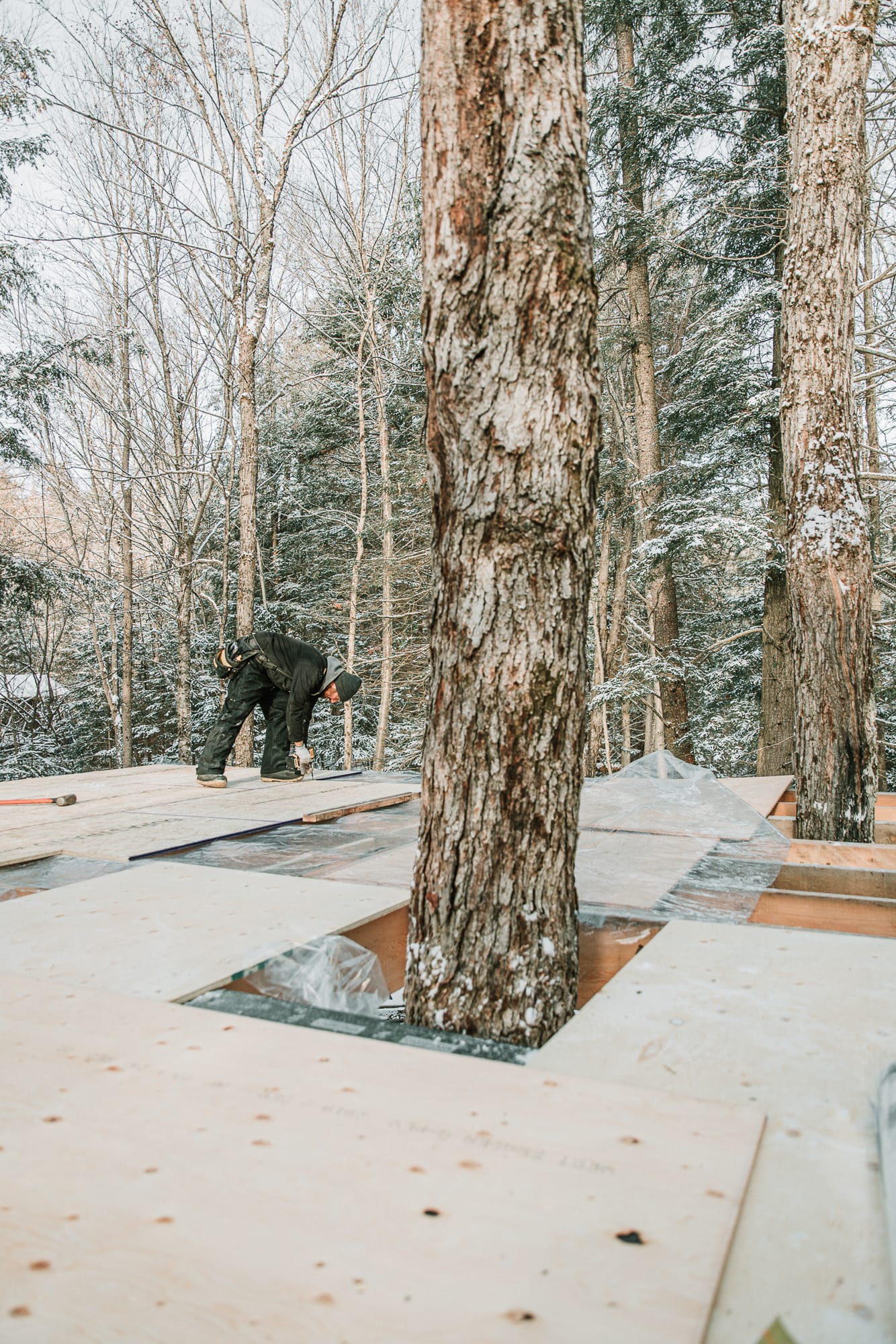 Fort Treehouse Co. - Mountain Customs